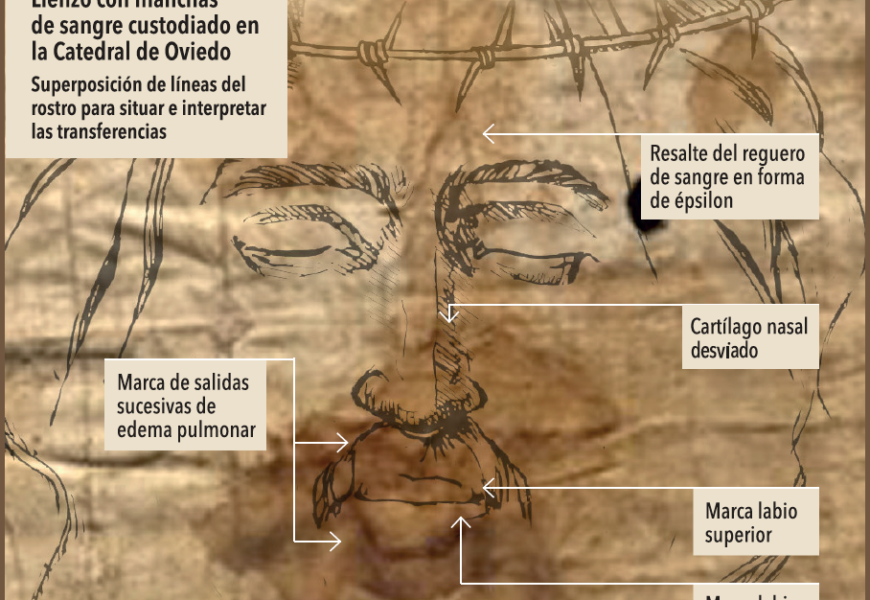 "El curso sobre el Santo Sudario permitirá conocer las investigaciones ...