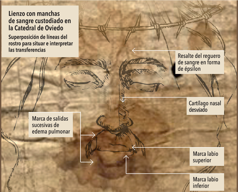 "El curso sobre el Santo Sudario permitirá conocer las investigaciones ...